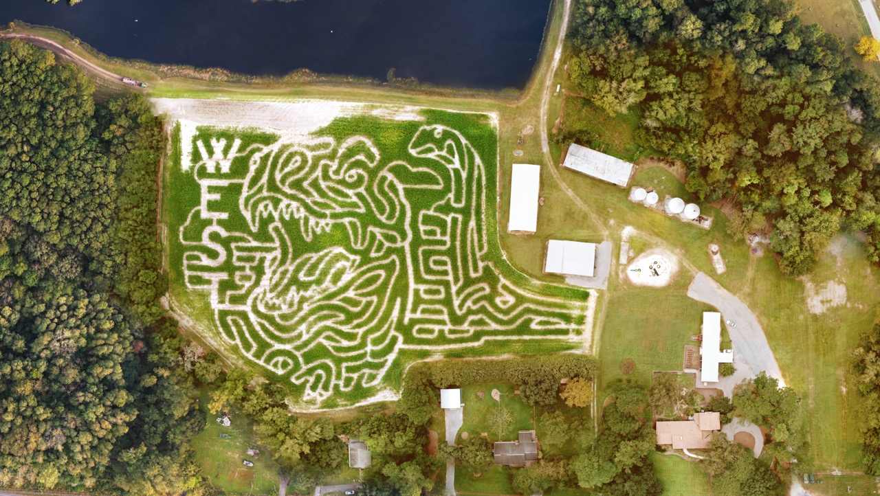 West Farm Corn Maze - Moncks Corner, SC